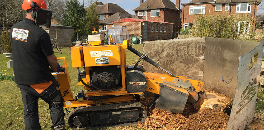 Choosing the Right Stump Grinding Service for Your Yard